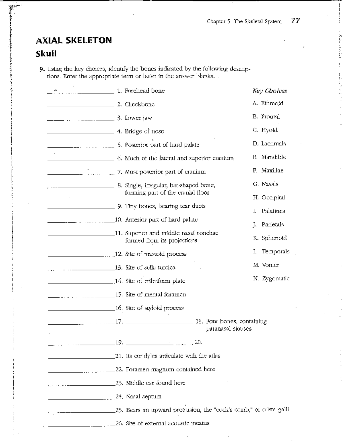 Skeleton study packet - Skeletal practice - BIOL 2404 - Studocu