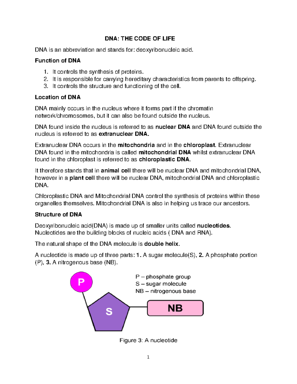 2024 TERM 1 Notes - DNA: THE CODE OF LIFE DNA is an abbreviation and ...