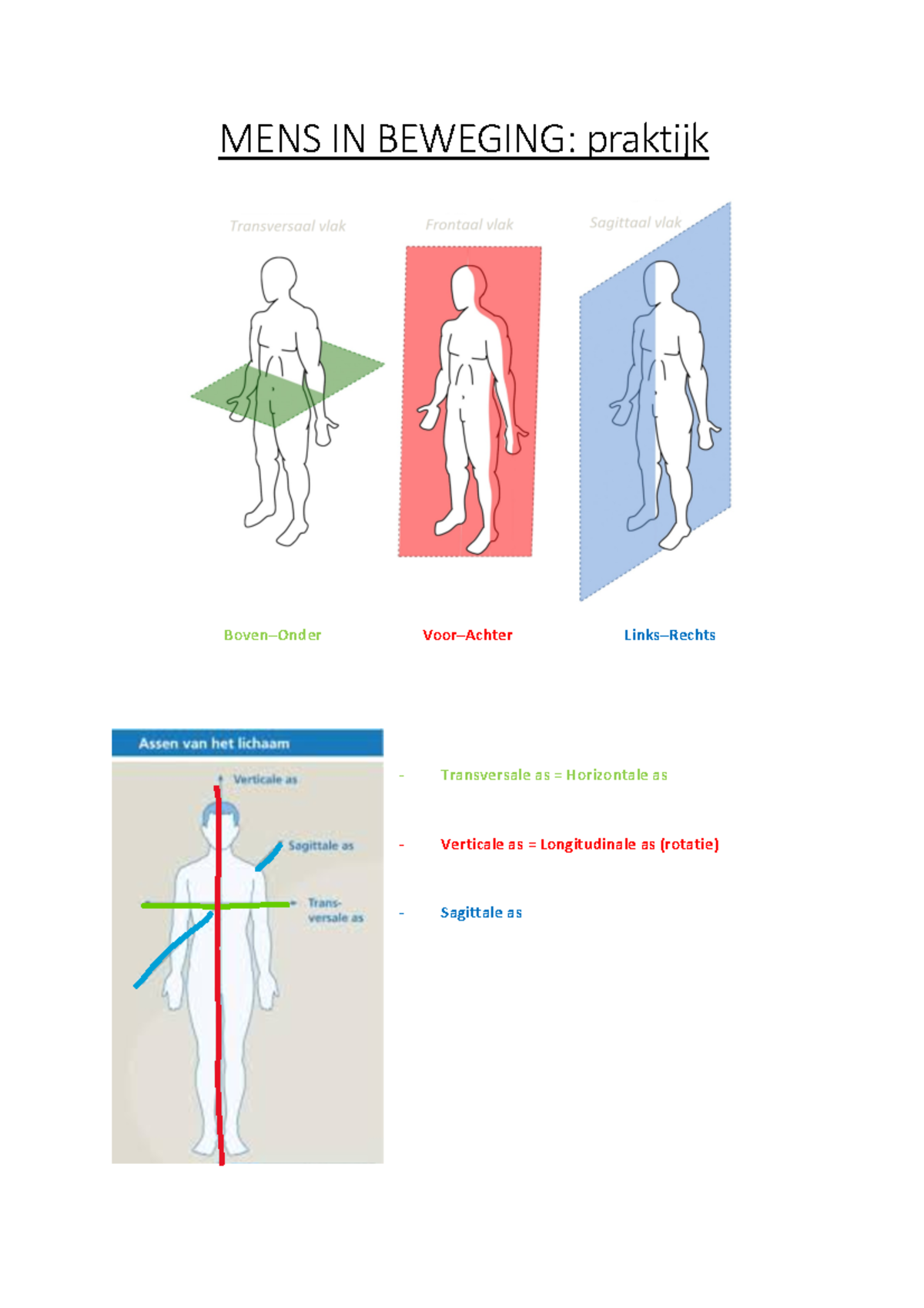 Samenvatting vlakken-en-assen - Anatomie en fysiologie - MENS IN ...
