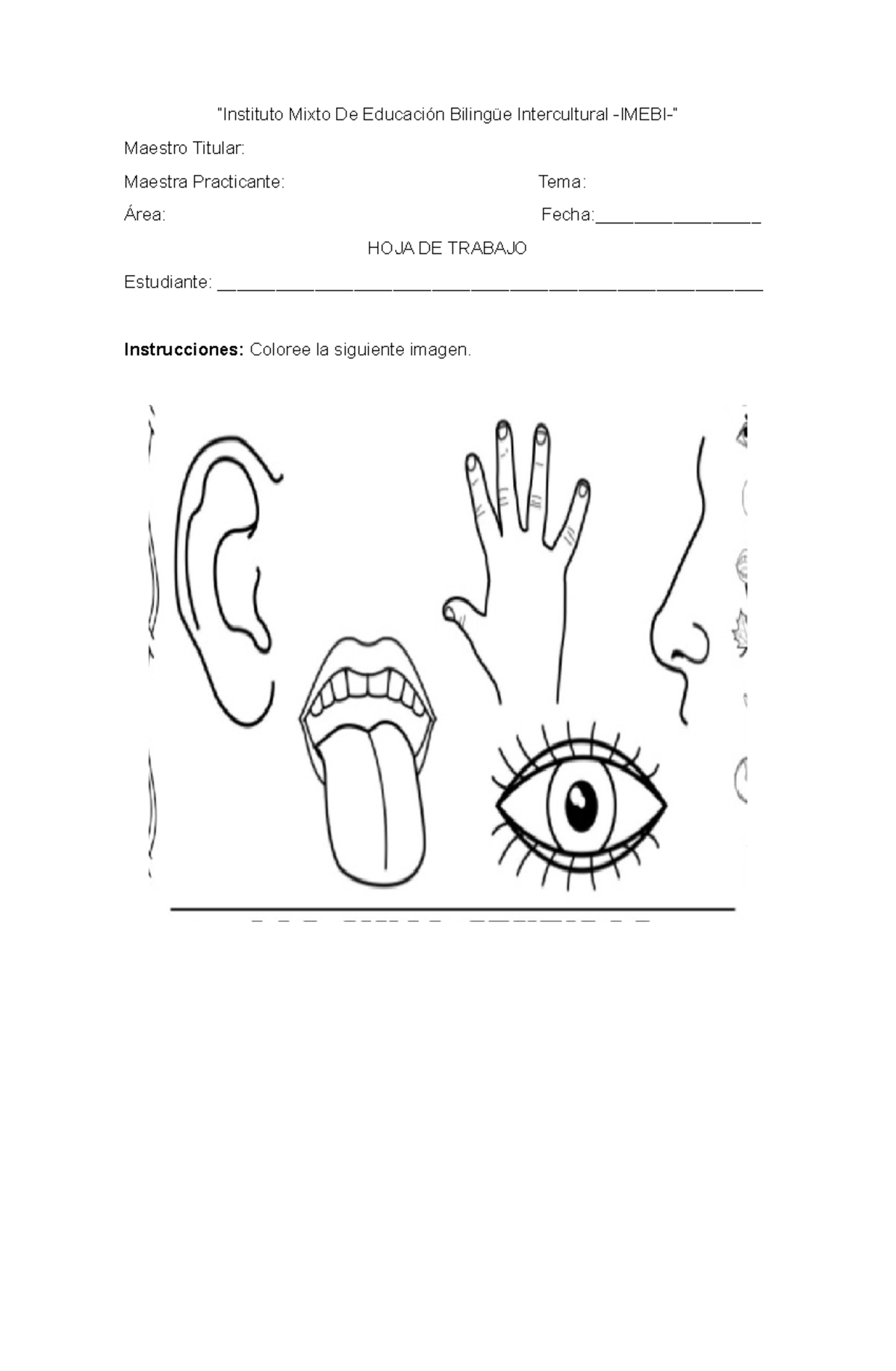 Ejercicios - Tarea - Maestro Titular: Maestra Practicante: Tema: Área ...