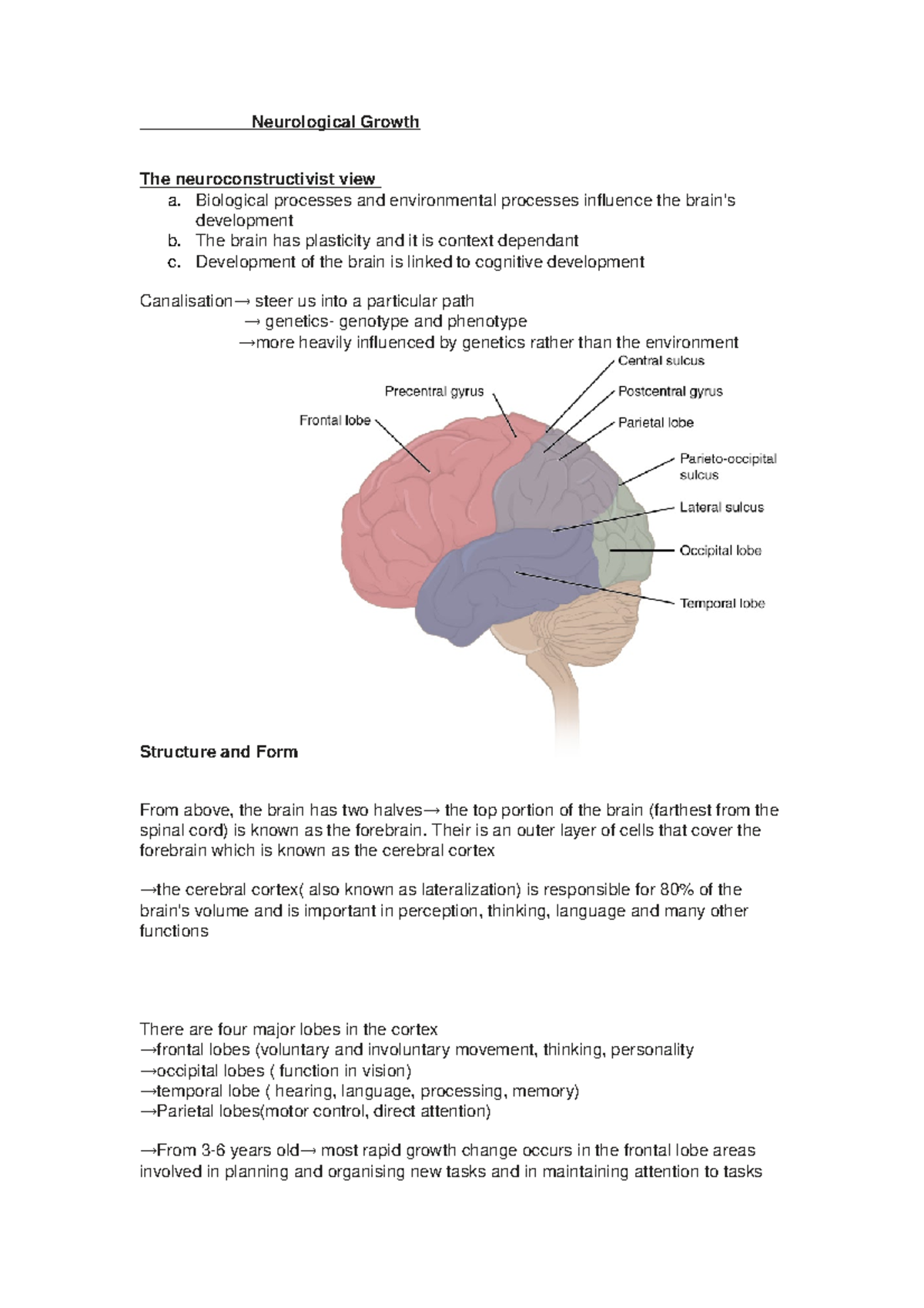Neurological Growth - Lecture notes 3.1 - Neurological Growth The ...