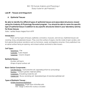 Bio 151 lab 2 - lap practical study guide lab 2 - BIO 151 Human Anatomy and Physiology II Lab ...