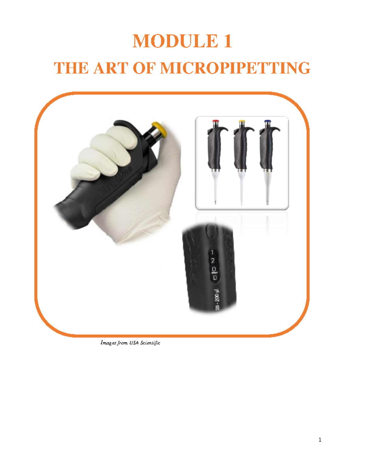 Module 1 - Micropipetting - MODULE 1 THE ART OF MICROPIPETTING Images ...