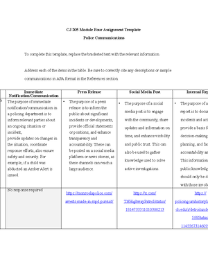 CJ-207 Assignment 2-2 Template -Done - CJ-207 Assignment 2-2 Template ...