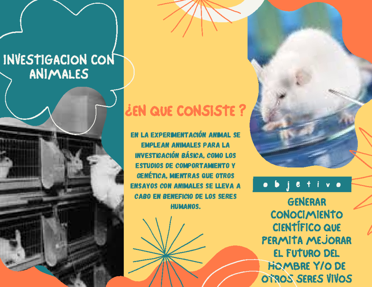 A#17 LAME - triptico sobre investigacion con animales - GENERAR ...