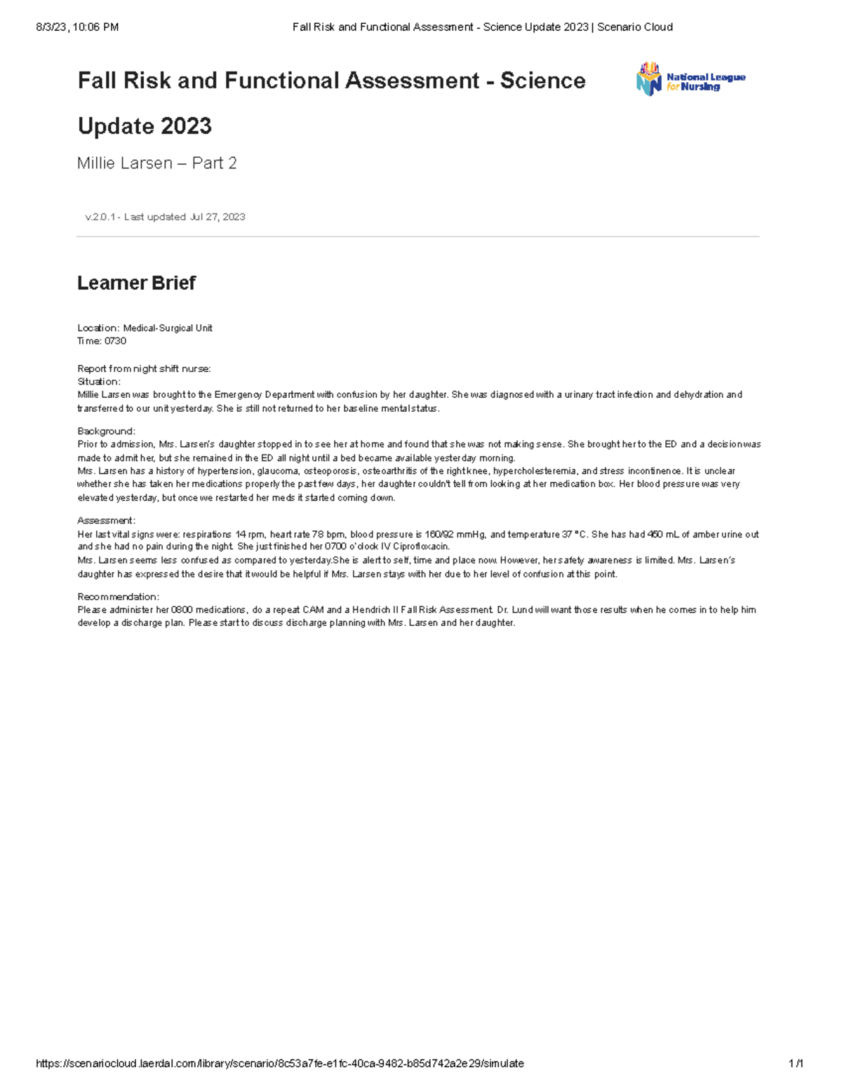 Fall Risk and Functional Assessment - Millie Larsen - Brief - 8/3/23 ...