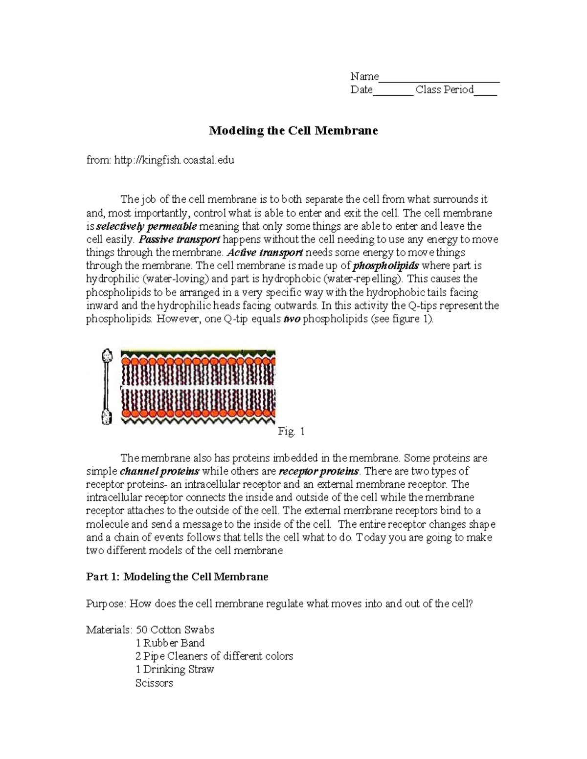 Modeling the Cell Membrane - Name_____________________ Date ...