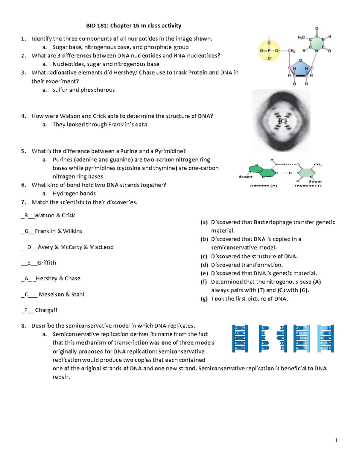 WEEK- 12-HW- Chapter 16- Esther Igboanugo - BIO 181: Chapter 16 In class activity Identify the ...