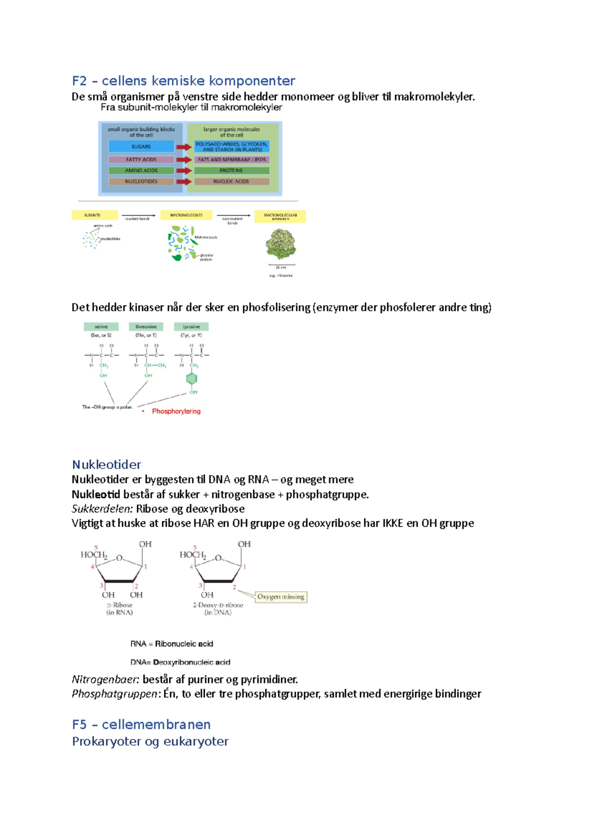 Cellens komponenter - Noter - F2 – cellens kemiske komponenter De små ...