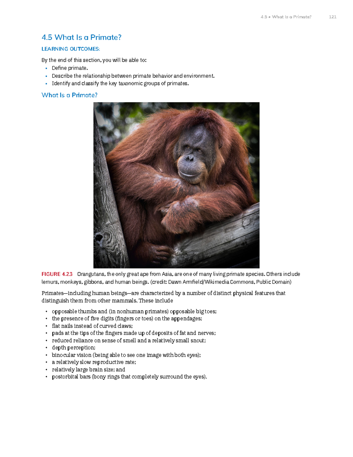 Chapter 4 Biological Evolution and Early Human Evidence Part 7 - 4 What ...