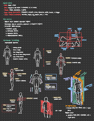Articular System - EXSS 175 - Studocu