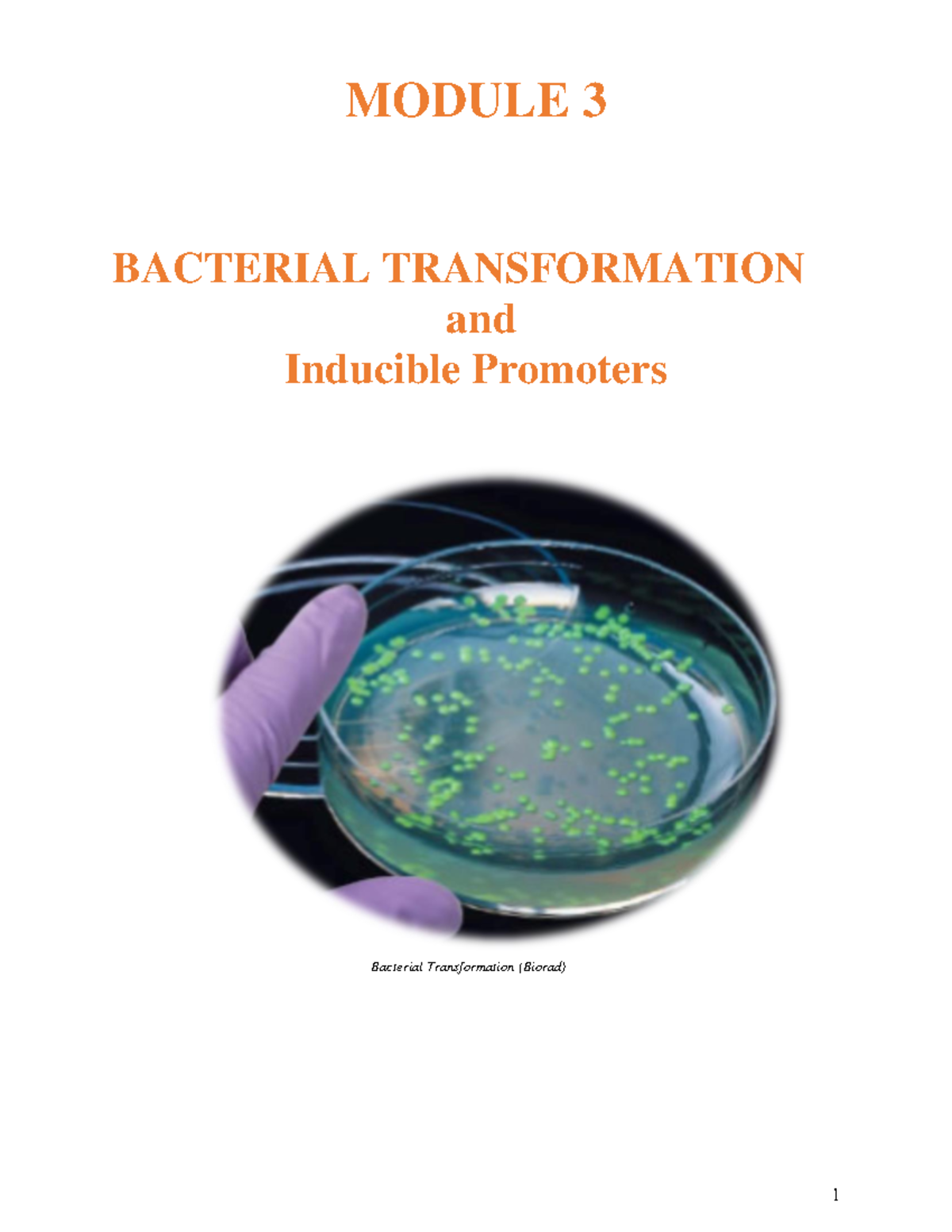 Module 3 -Bacterial Transformation - MODULE 3 BACTERIAL TRANSFORMATION ...