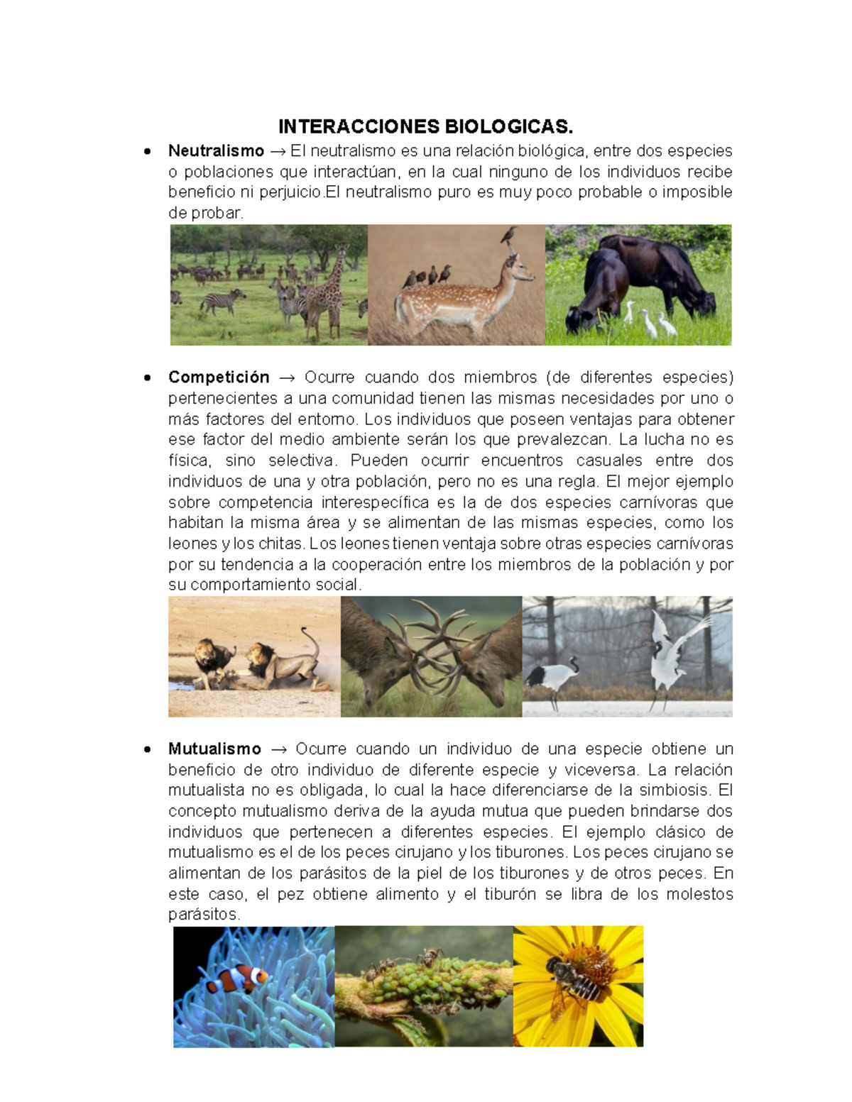 Interacciones Biologicas - INTERACCIONES BIOLOGICAS. Neutralismo → El ...