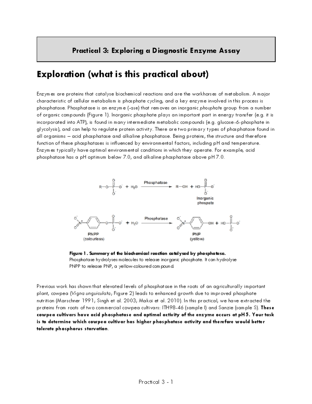 BIOL1007 CC Practical 3Enzymes Student Lab Manual 2022 - Practical 3: Exploring a Diagnostic ...