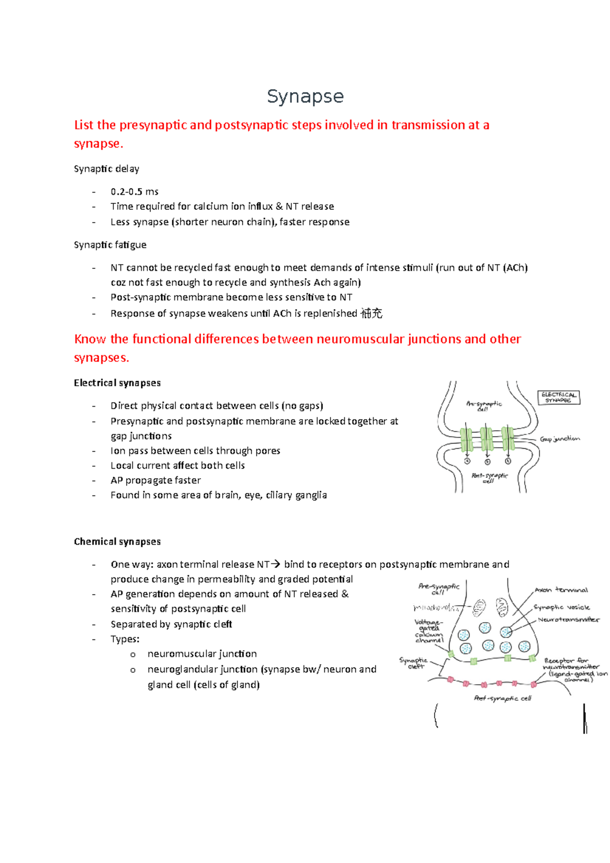 Synapse - Topic Notes from a high achieving student with Chinese ...