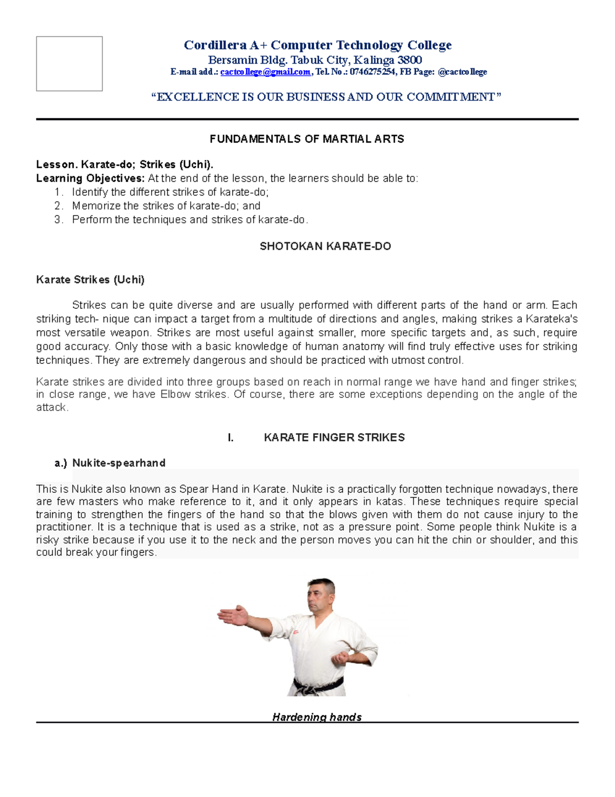 Karate punches - Demonstration - Cordillera A+ Computer Technology ...