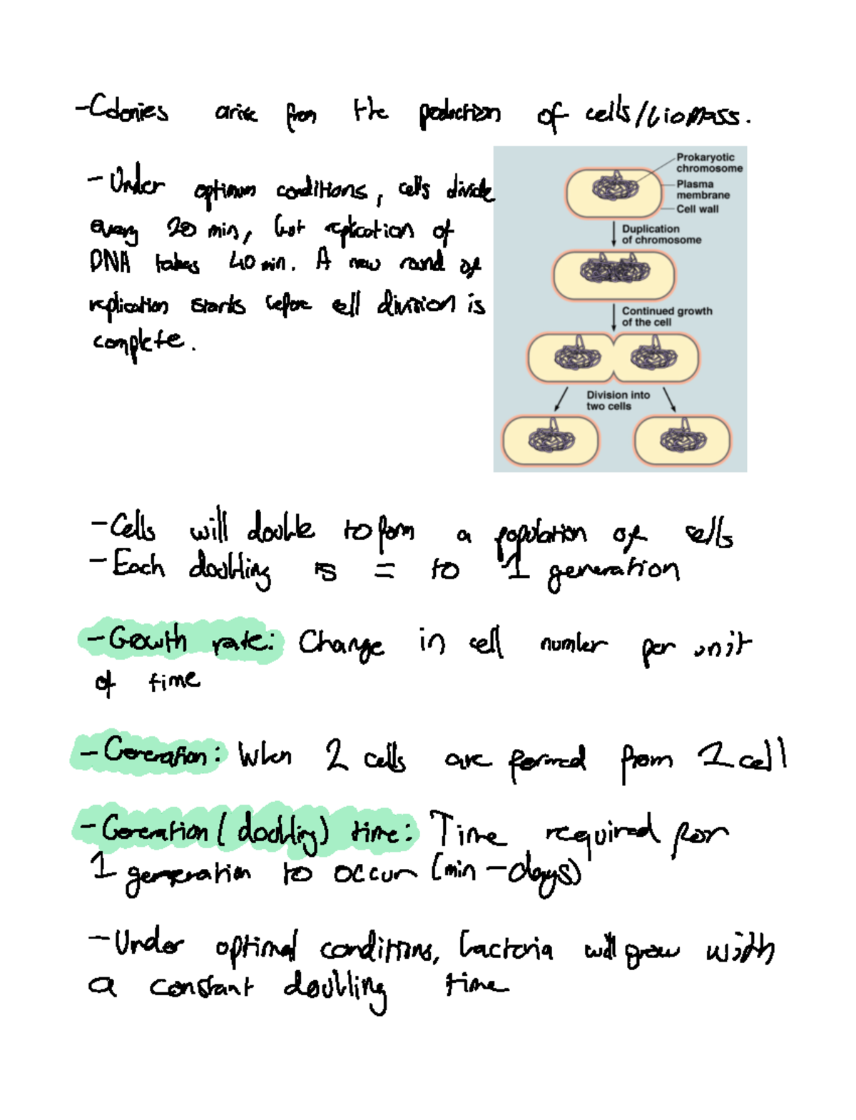 Topic 6 - Microbial - Notes on Microbes - Colonies arise from the ...