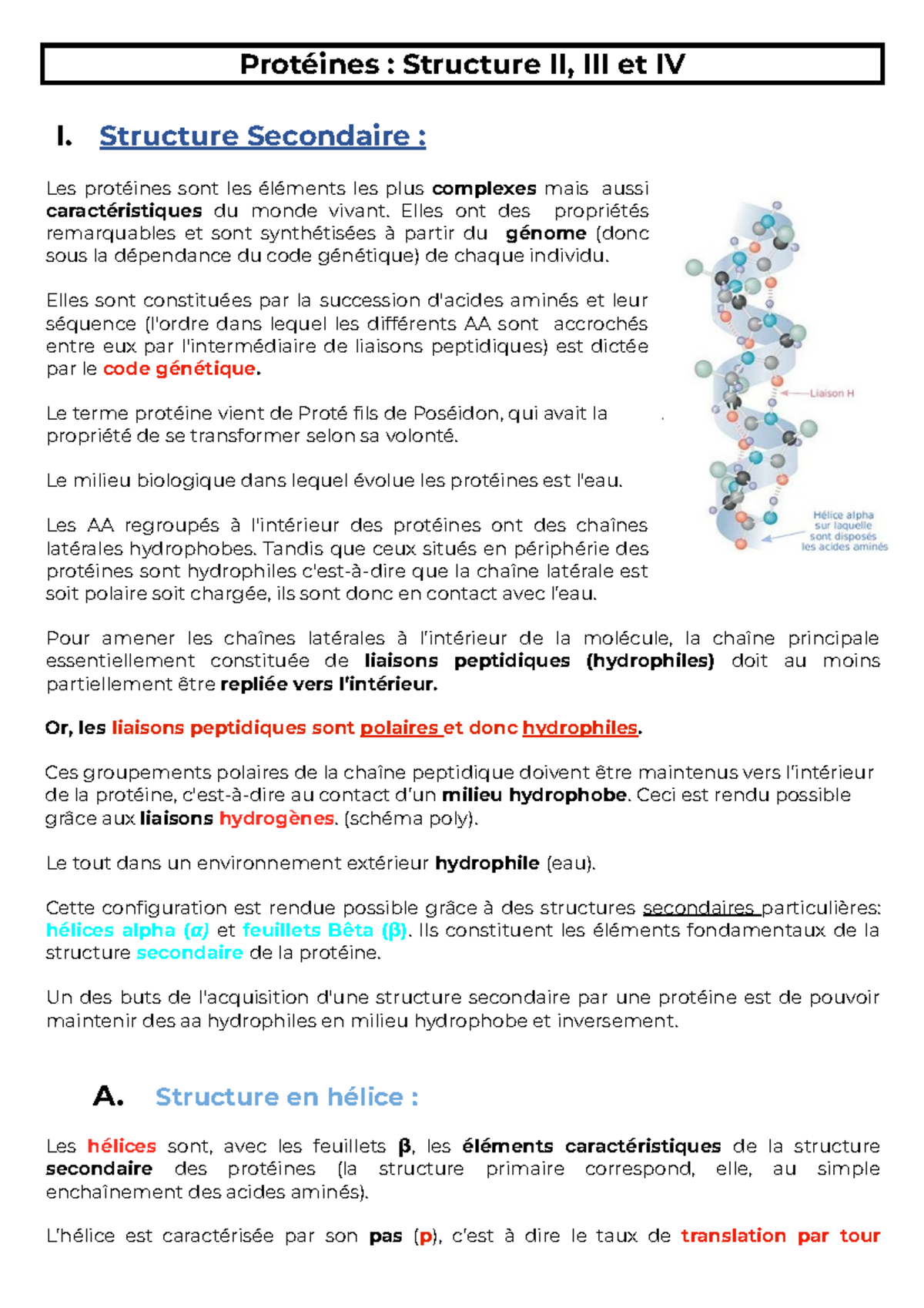 C13 Protéines - Protéines : Structure II, III et IV I. Structure ...