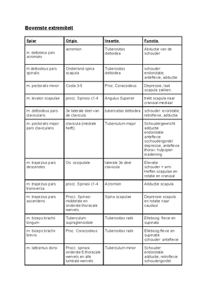Anatomie 2 Origo Insertie - Anatomie 2. Origo en Insertie Onderste ...