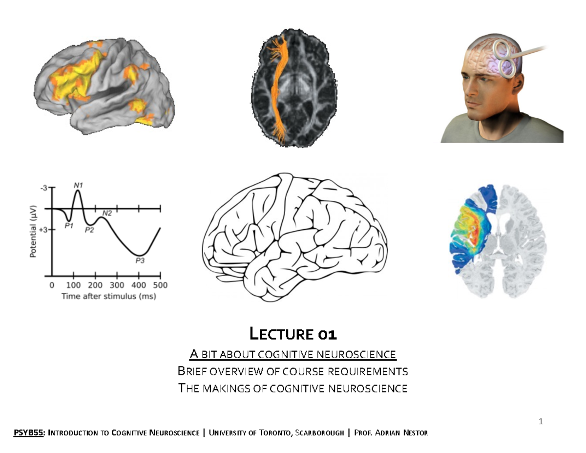 01 Intro Cog Neuro History B55 - LECTURE 01 A BITABOUTCOGNITIVE ...