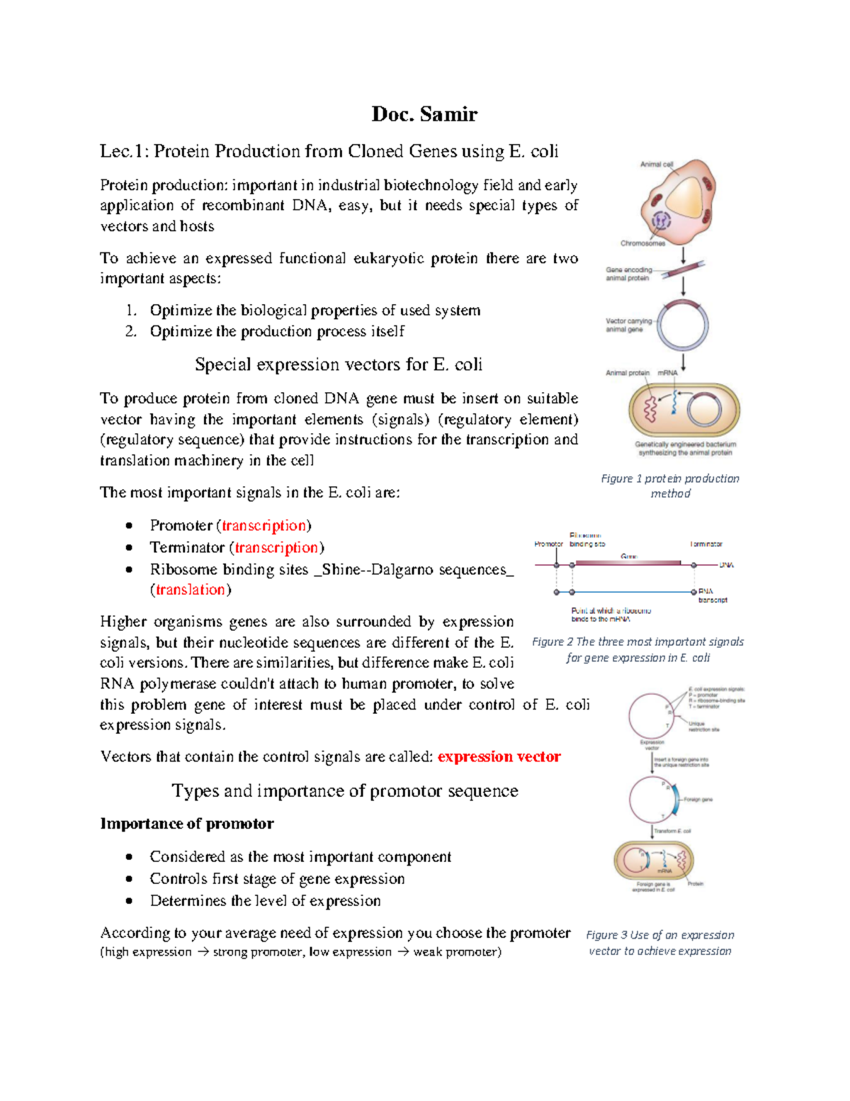 Genetic Engineering 7 - summary from Gene Cloning and manipulation ...