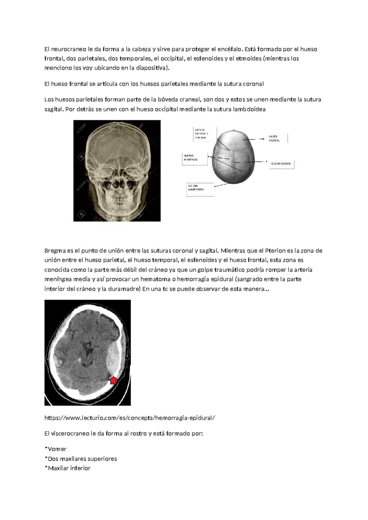 Semiologia - El neurocraneo le da forma a la cabeza y sirve para ...