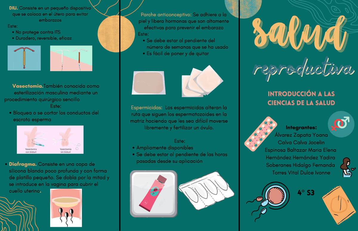 Tríptico Promoción de la Salud - SaludSalud Integrantes: Álvarez Zapata ...