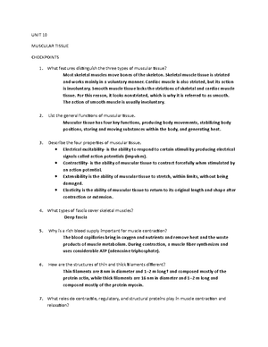Bachelor of Arts in English Language Studies Baels - CURRICULUM ...