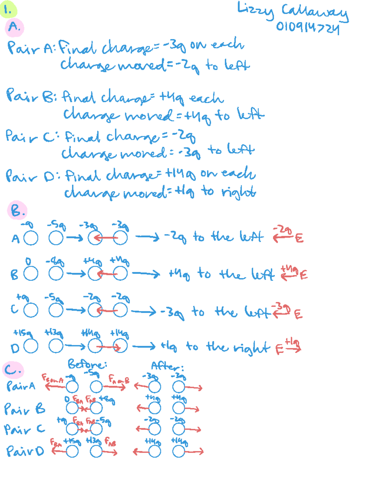 Chp 20 HW - CP2 Chp 20 hw - Lizzy Callaway A 010914724 Pair A final ...