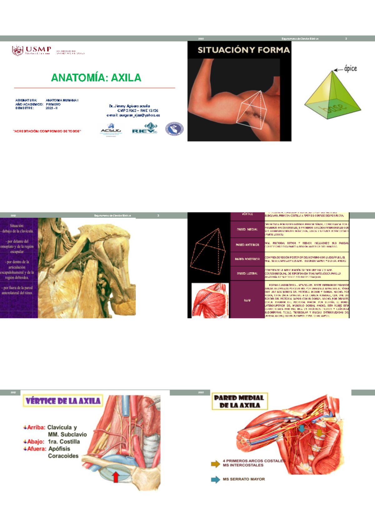 05. Axila - ANATOMÍA HUMANA I - USMP - Studocu