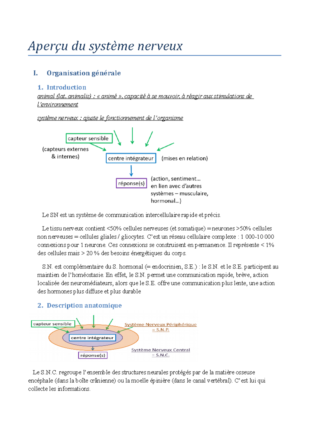 3 Le système nerveux - Aperçu du système nerveux I. Organisation ...