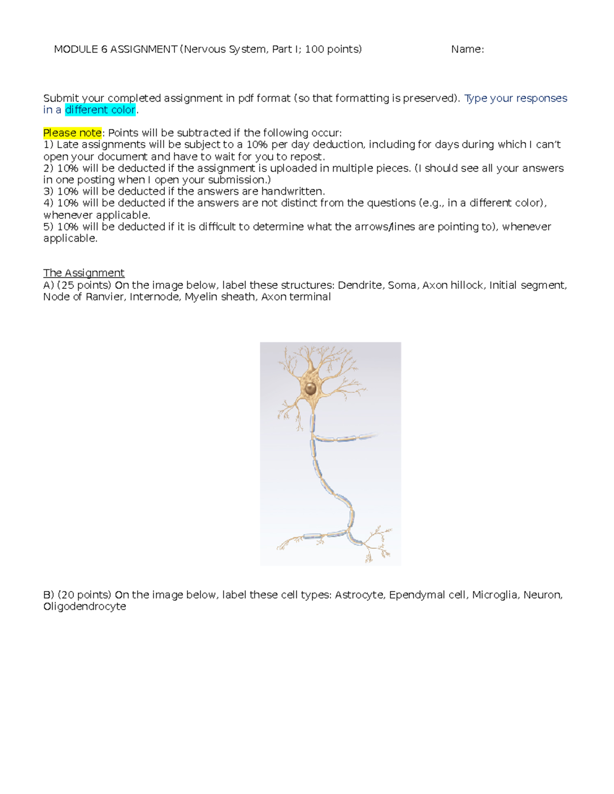 Mod 6 Assignment May 2022 - MODULE 6 ASSIGNMENT (Nervous System, Part I ...
