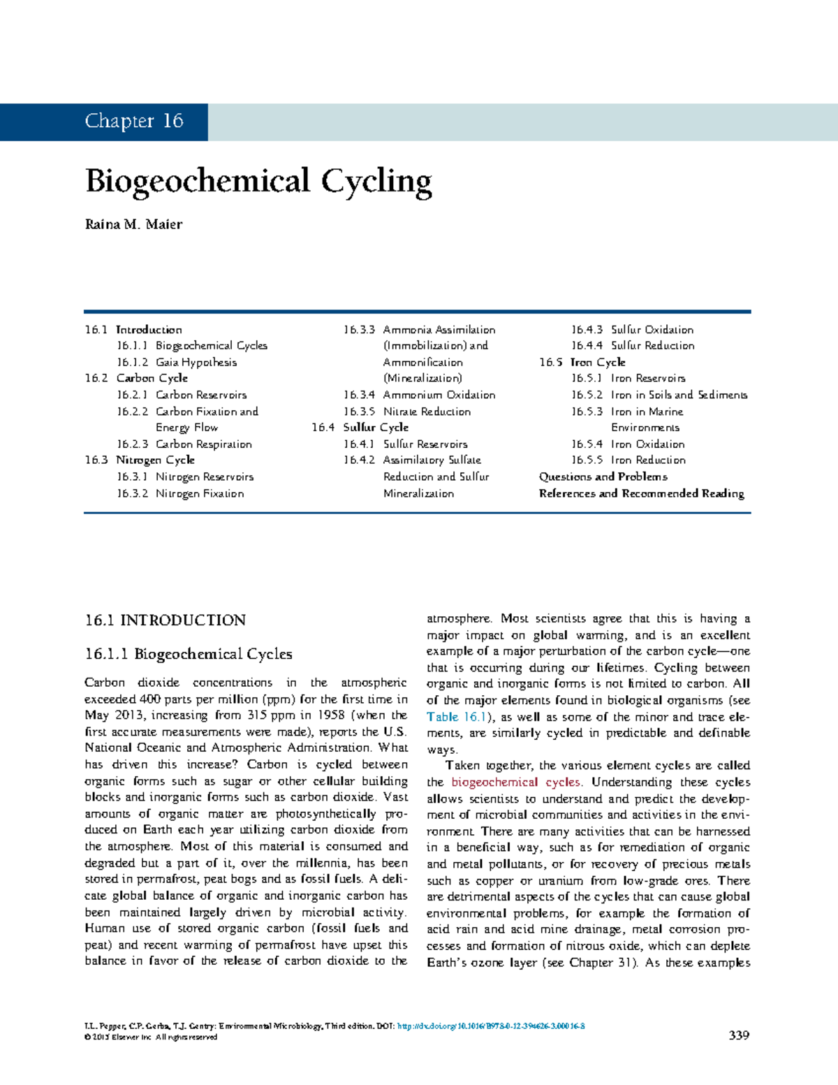 Ciclos biogeoquimicos - Chapter 16 Biogeochemical Cycling Raina M ...