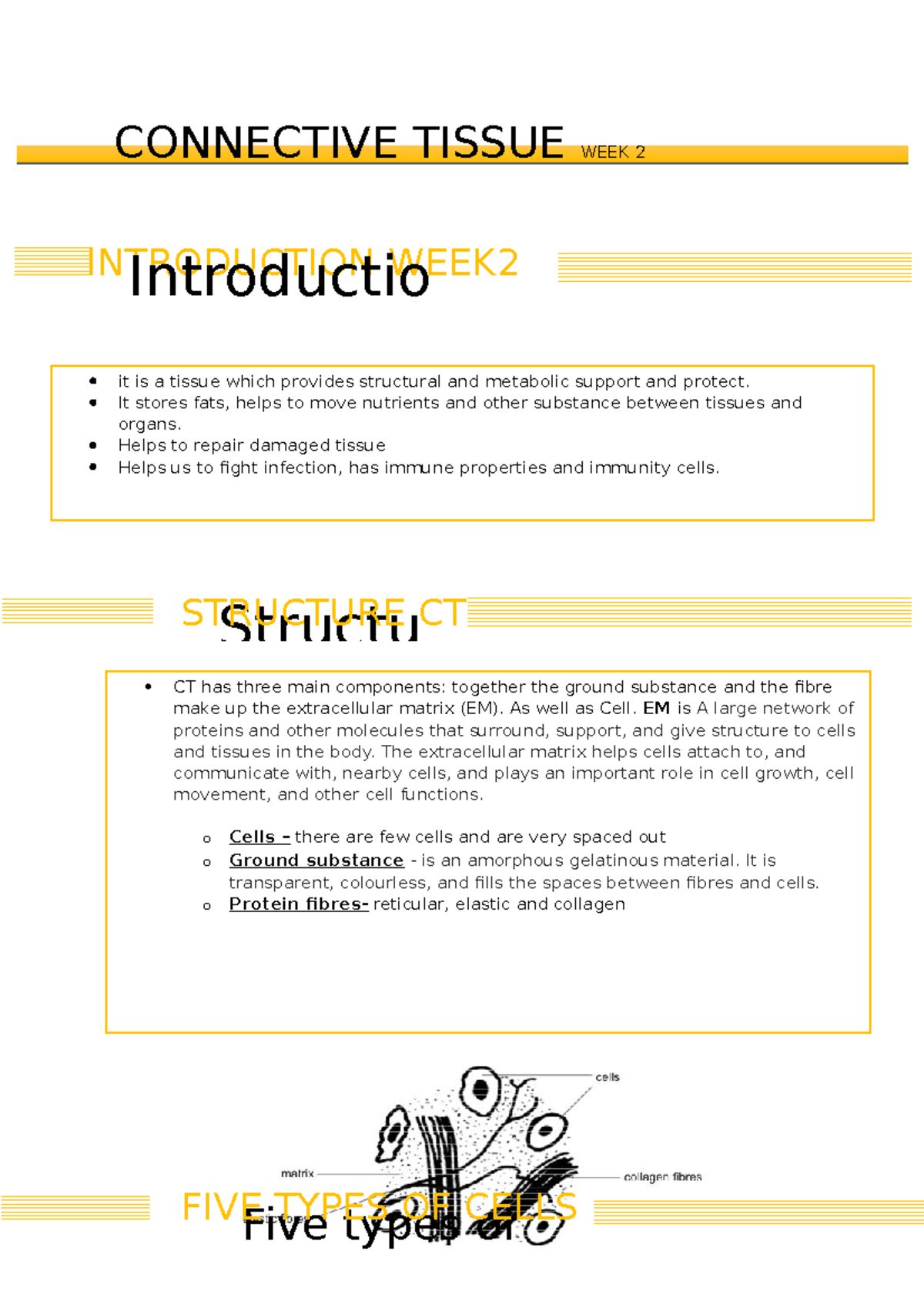 WEEK 2 Connective Tissue - CONNECTIVE TISSUE WEEK 2 INTRODUCTION WEEK ...
