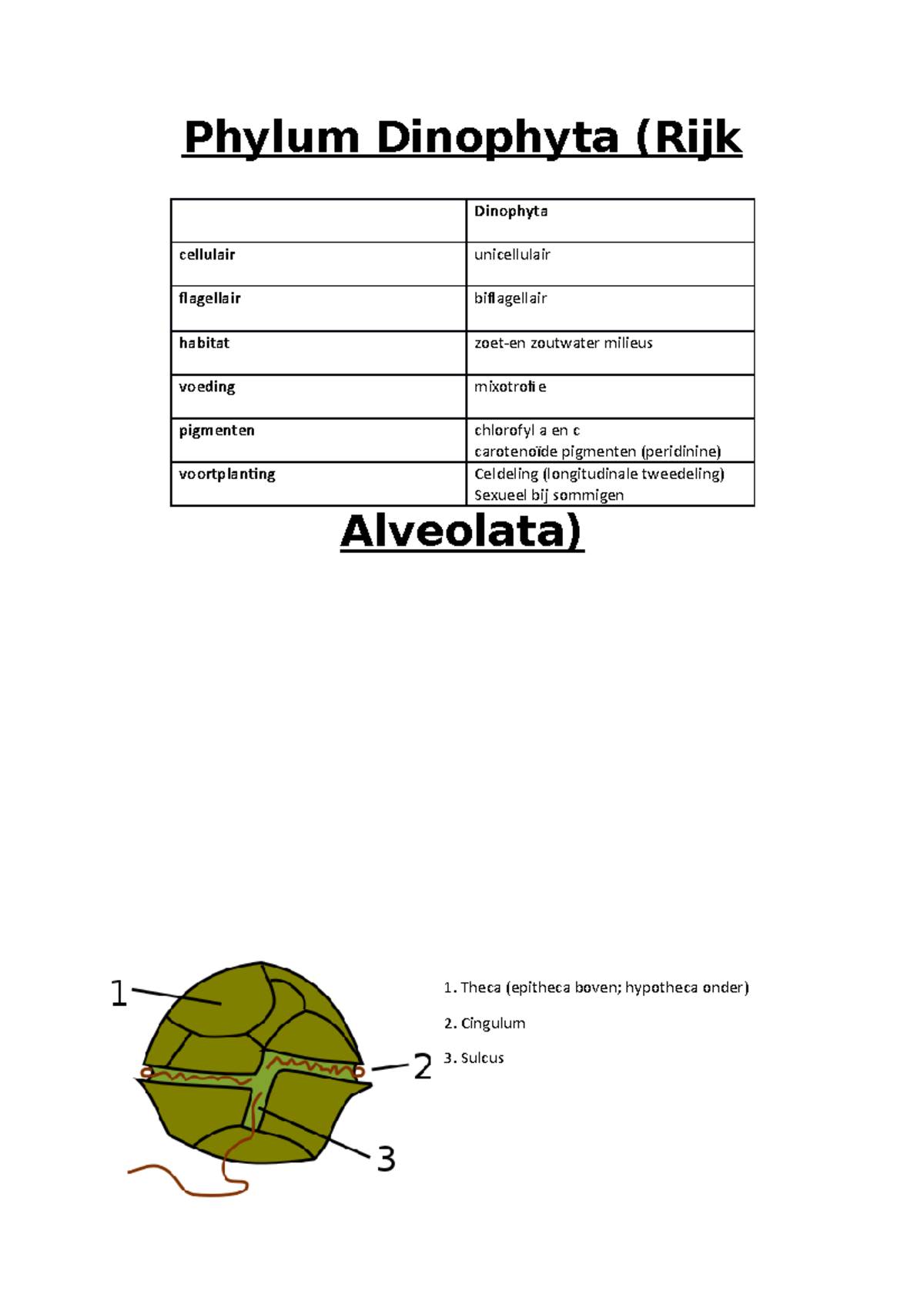 Dinophyta, Stramenopiles, Oomycota, Chrysophyta.... Samenvatting - Phylum Dinophyta (Rijk ...