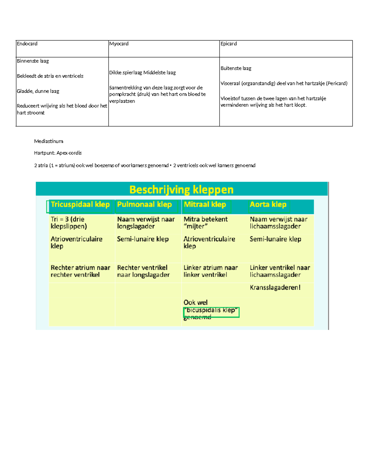 Samenvatting hart - Endocard Myocard Epicard Binnenste laag Bekleedt de ...