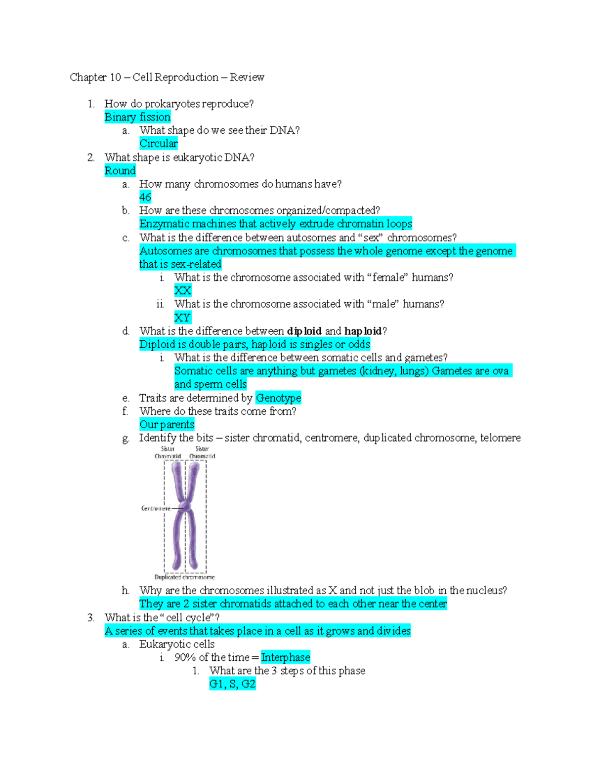 Chapter 10 - Dr. Kelber - Chapter 10 – Cell Reproduction – Review How ...