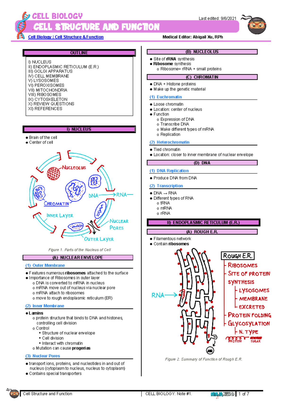 Cell Structure Function atf - Cell Structure and Function CELL BIOLOGY ...
