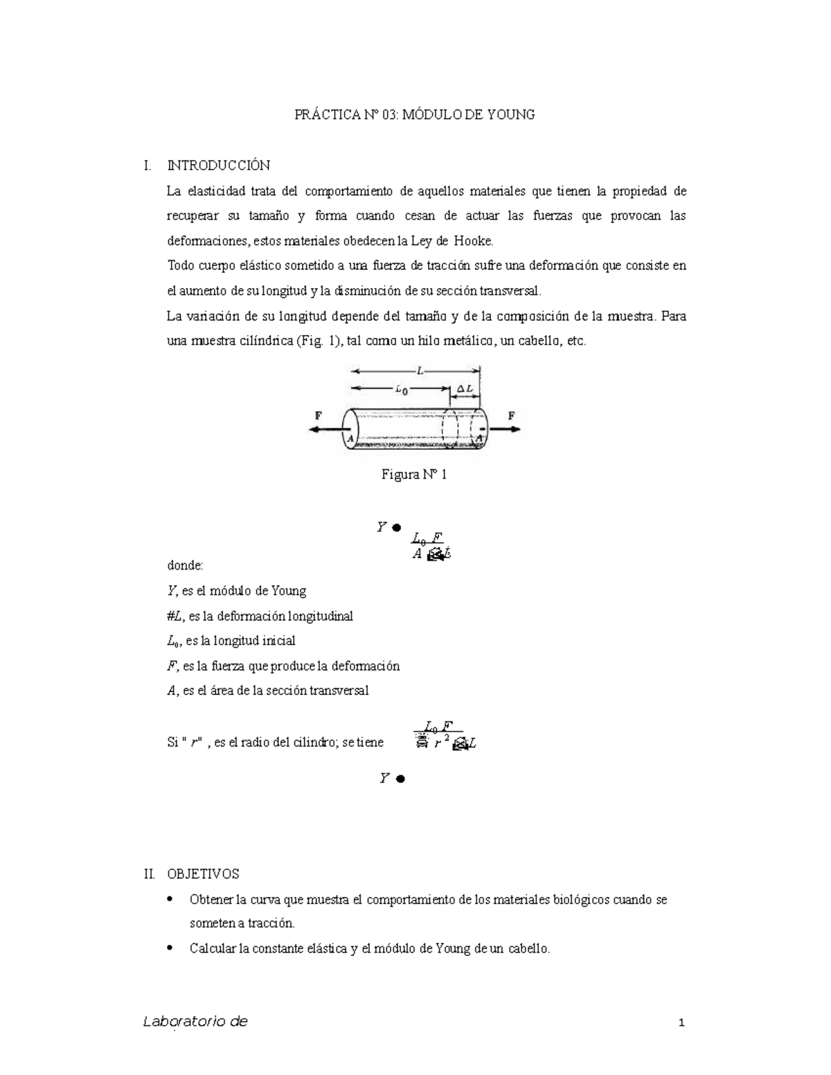 428511599-03-Modulo-de-Young-a-1-Convertido - PRÁCTICA Nº 03: MÓDULO DE ...