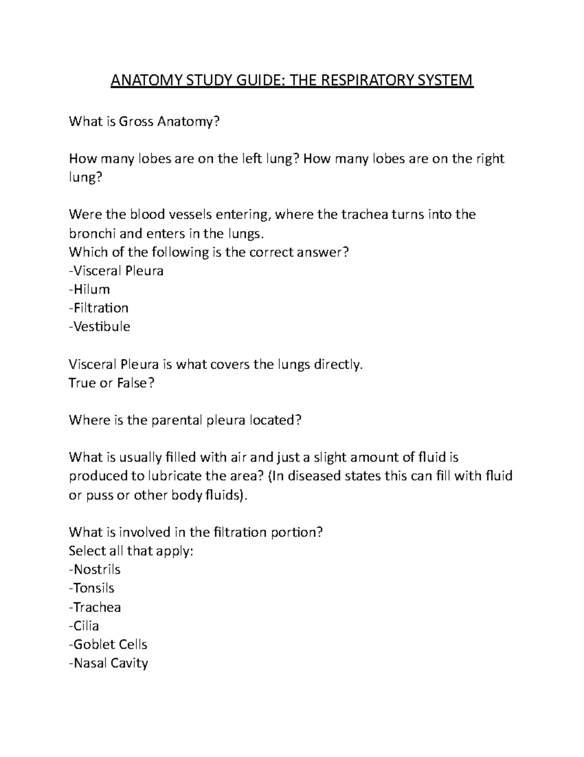 Anatomy Study Guide- THE RESP. System - ANATOMY STUDY GUIDE: THE ...