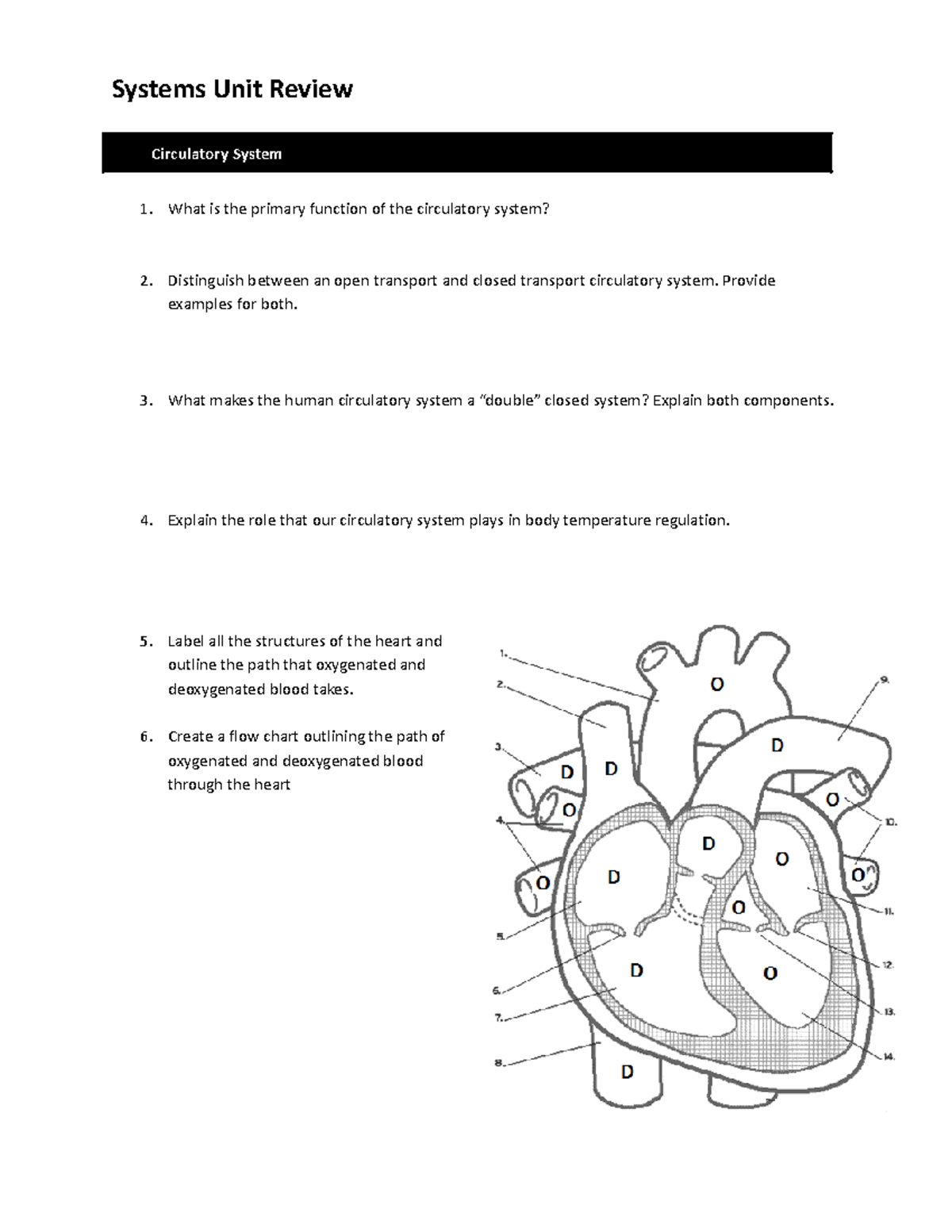 5 Systems Unit Review Systems Unit Review Circulatory System What 5-systems-unit-review-systems-unit-review-circulatory-system-what