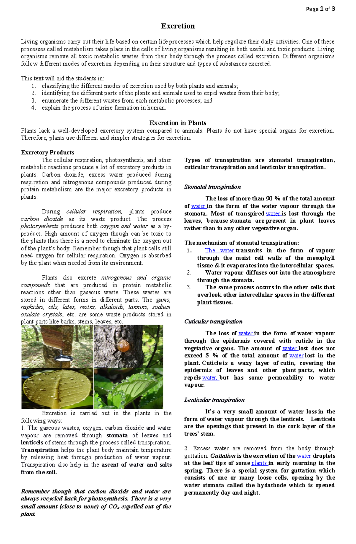 Excretory - Excretion - Page 1 of 3 Excretion Living organisms carry ...