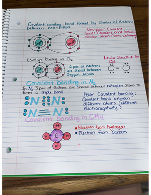 Physical Science Notes - PHY 101/101L - Studocu