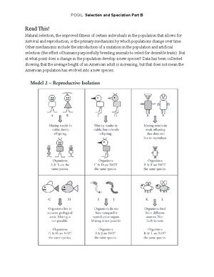 U6M1A4 - Pogil - DNA Structure and Replication-S - DNA Structure and ...
