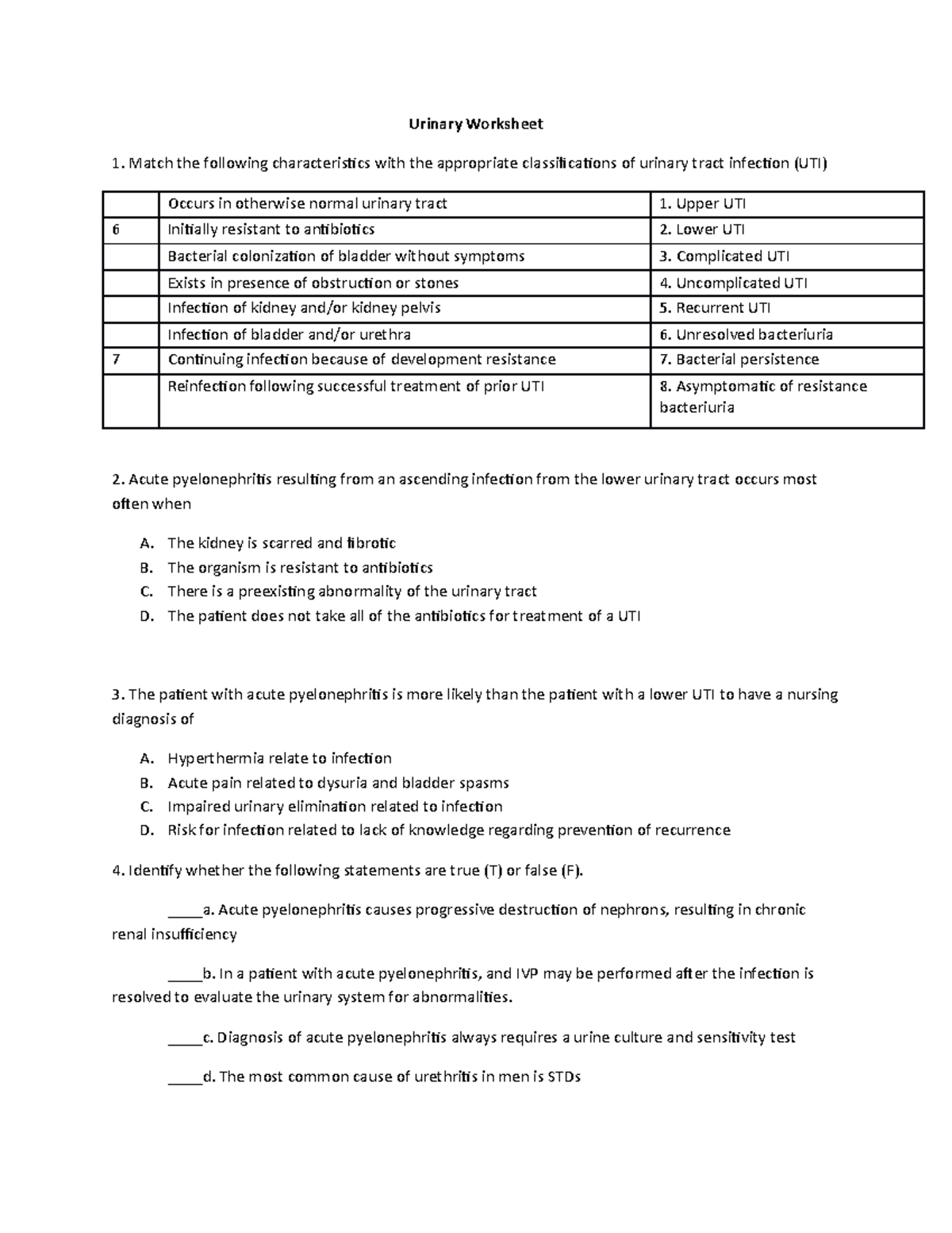 Urinary System Worksheet Kidney Urinary System