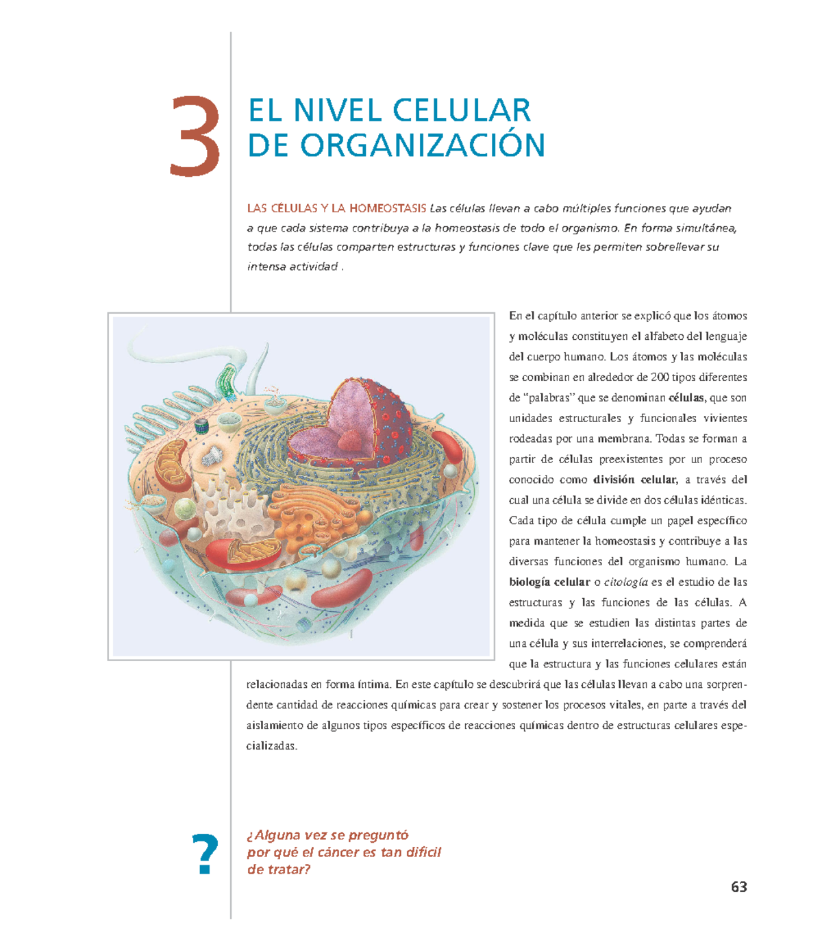 Principios de anatomía y fisiología, 13va Edición - Gerard J. Tortora ...