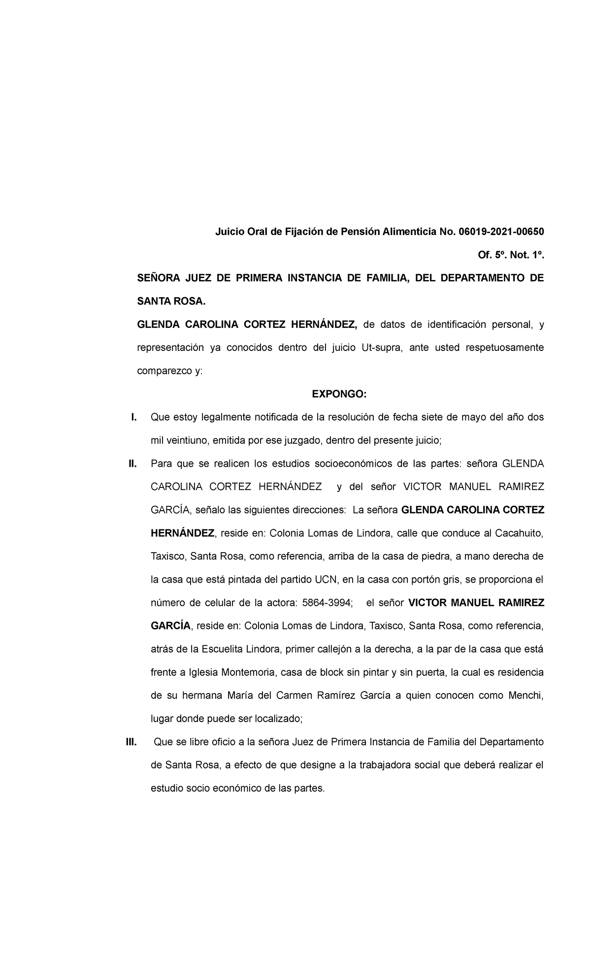 Memorial Subsanando Previos Glenda Cortez - Juicio Oral de Fijación de ...