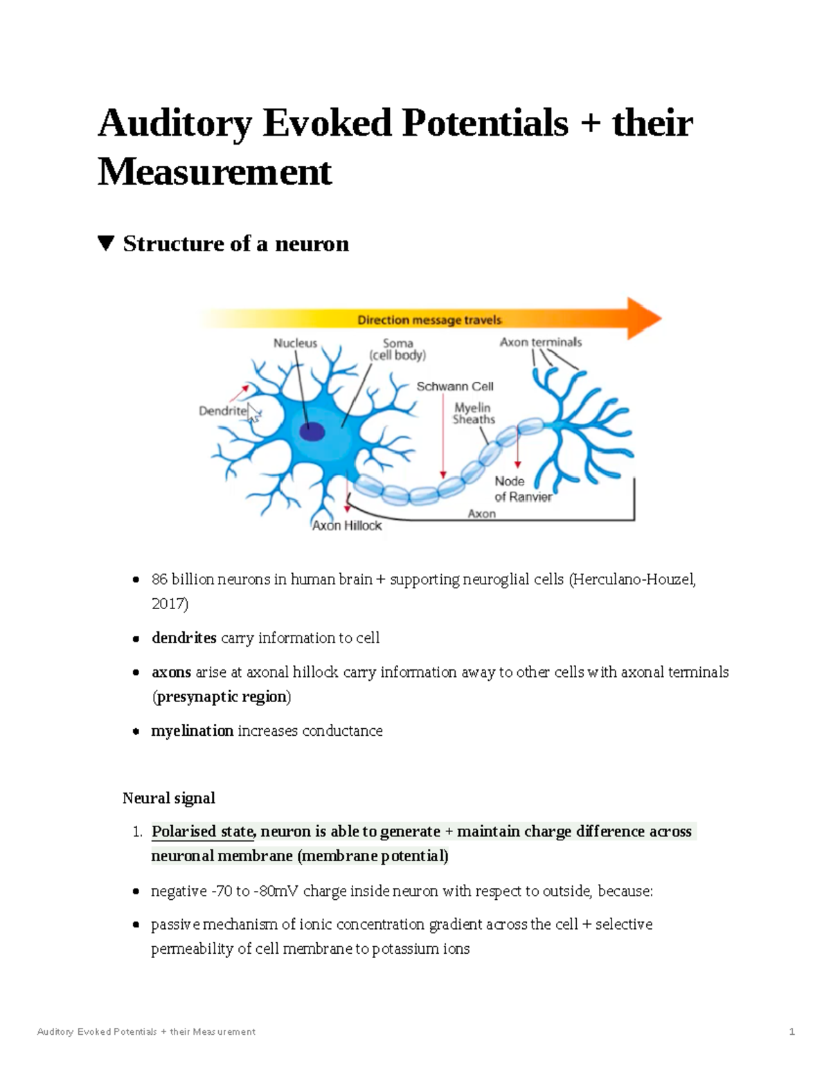 Auditory Evoked Potentials + their Measurement ...