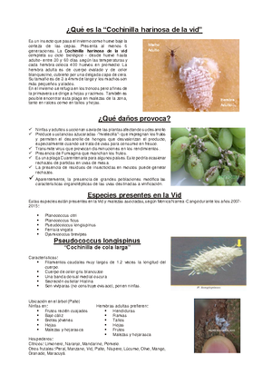 CONTROL ETOLÒGICO PARA LAS PLAGAS TRAMPAS UTILIZADAS PARA EN CONTROL DE ...