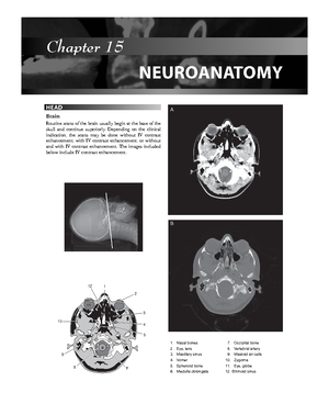 Bacteriology Summary Table - Bacteriology Table Organism General ...